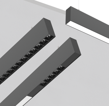 Morph-30-SUS | Colab